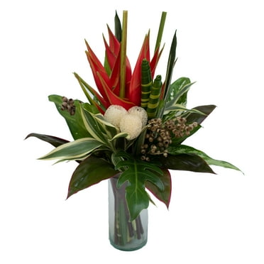 50 Stems of Red Roses- Beautiful Fresh Cut Flowers- Express Delivery ...