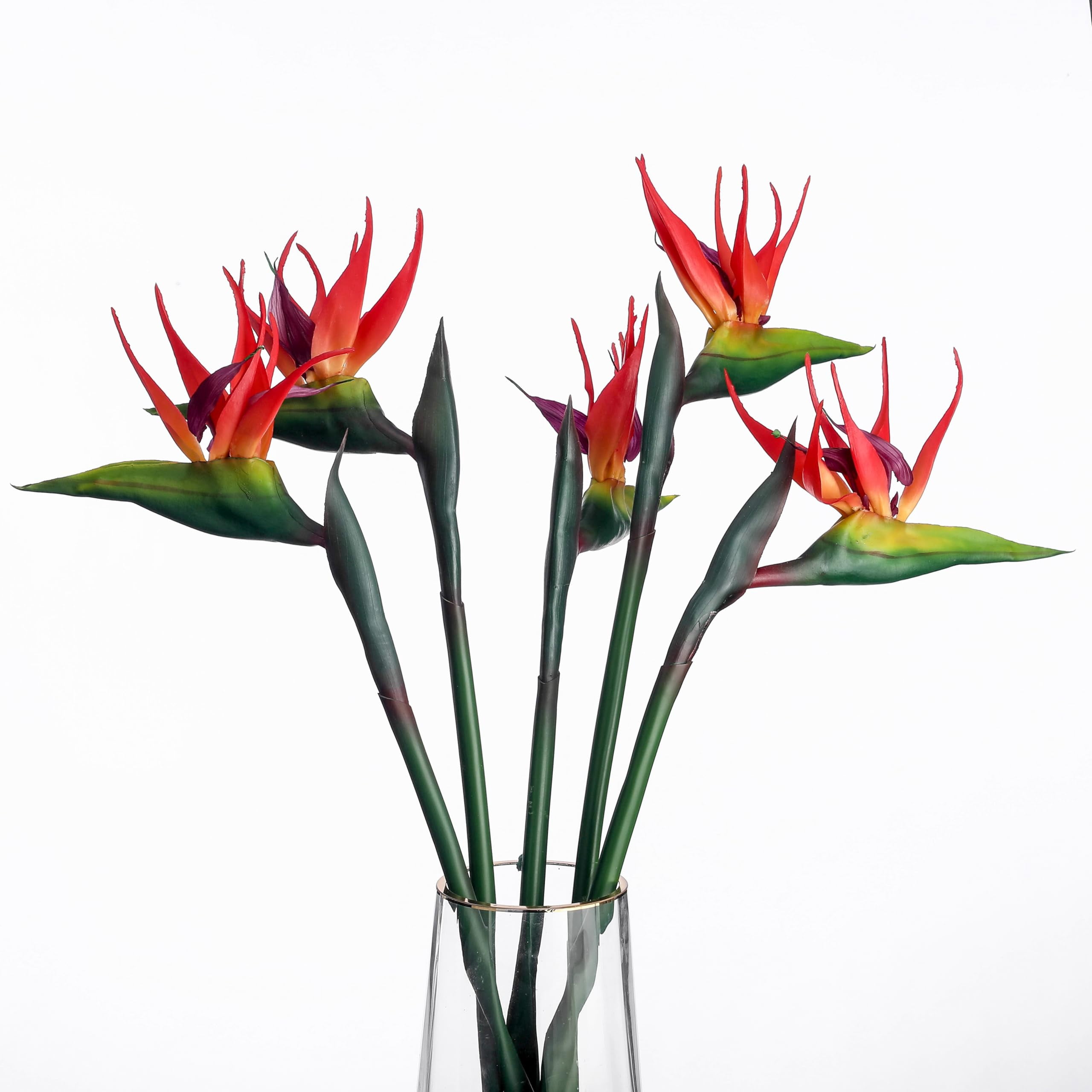 Hanaive 12 Pcs 32 Inches Tall Bird of Artificial Plant Hawaiian ...