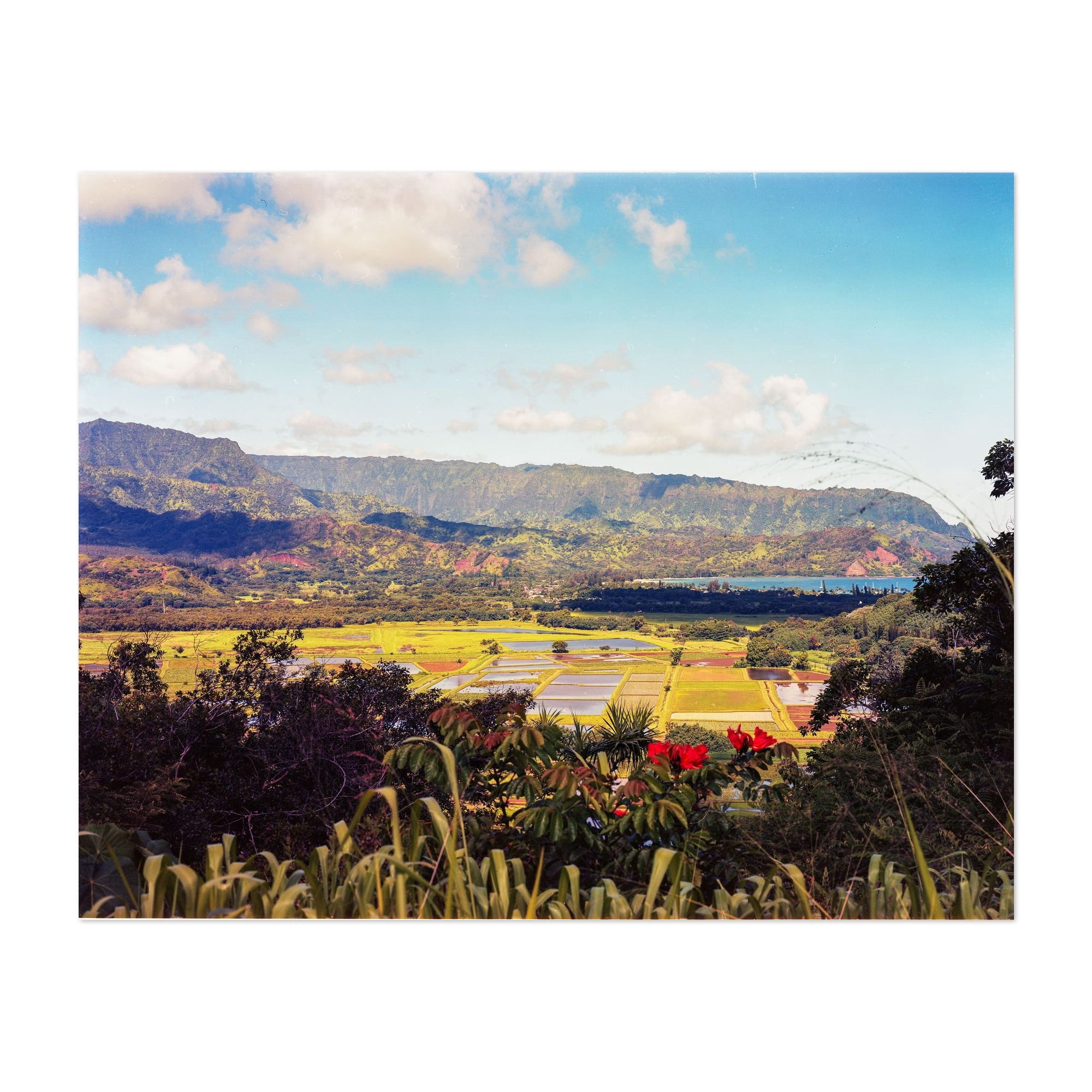 Hanalei in Color - Hanalei Hawaii Photography Landscape Mountain ...