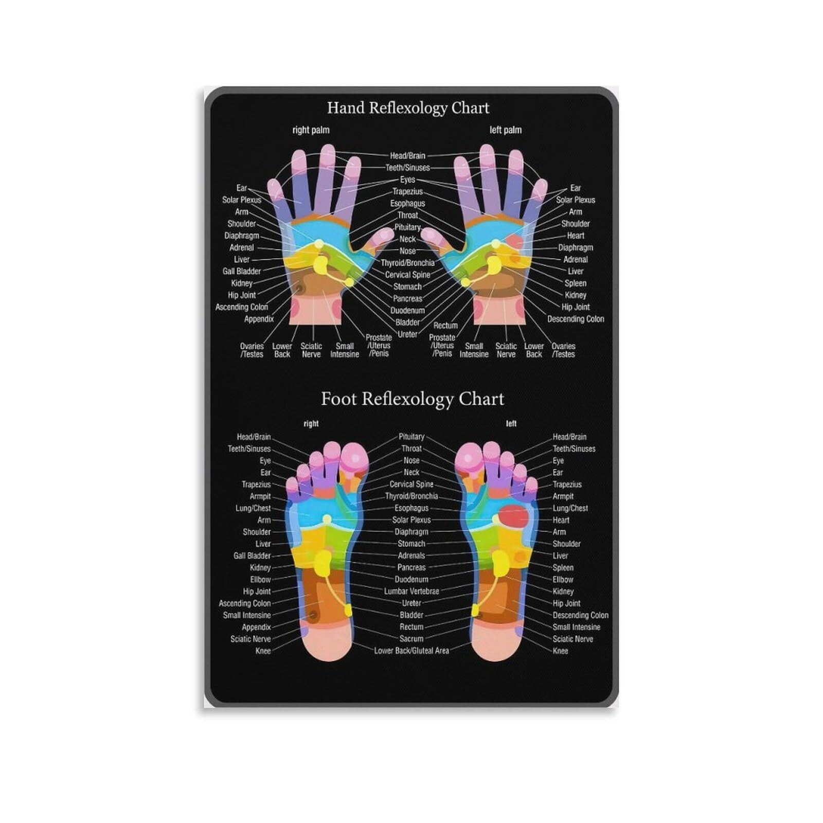 Hand And Foot Reflexology Chart Massage Therapist Knowledge Canvas Art ...
