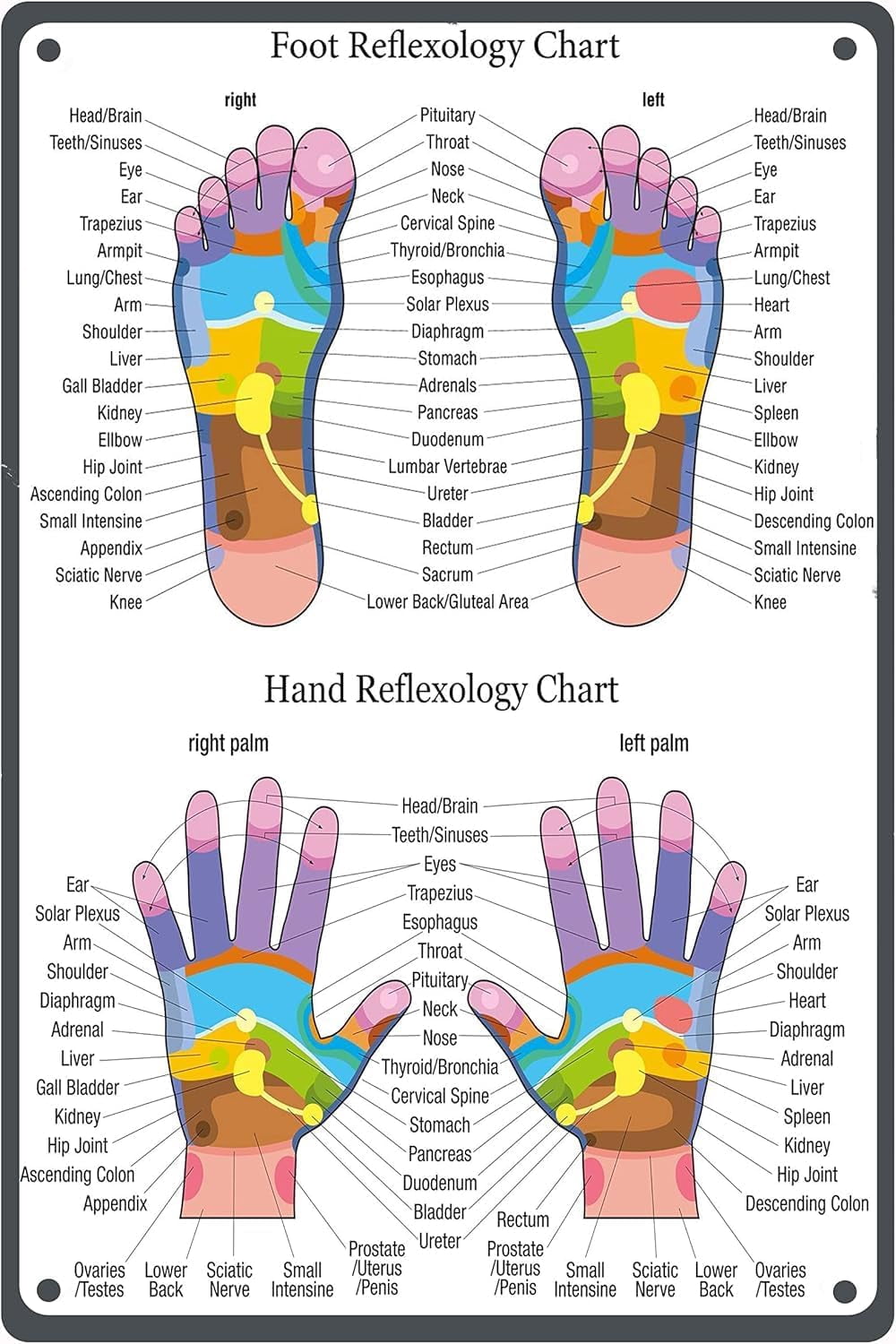 Hand Foot Reflexology Chart Metal Tin Sign Poster Wall Art Decor Plaque ...