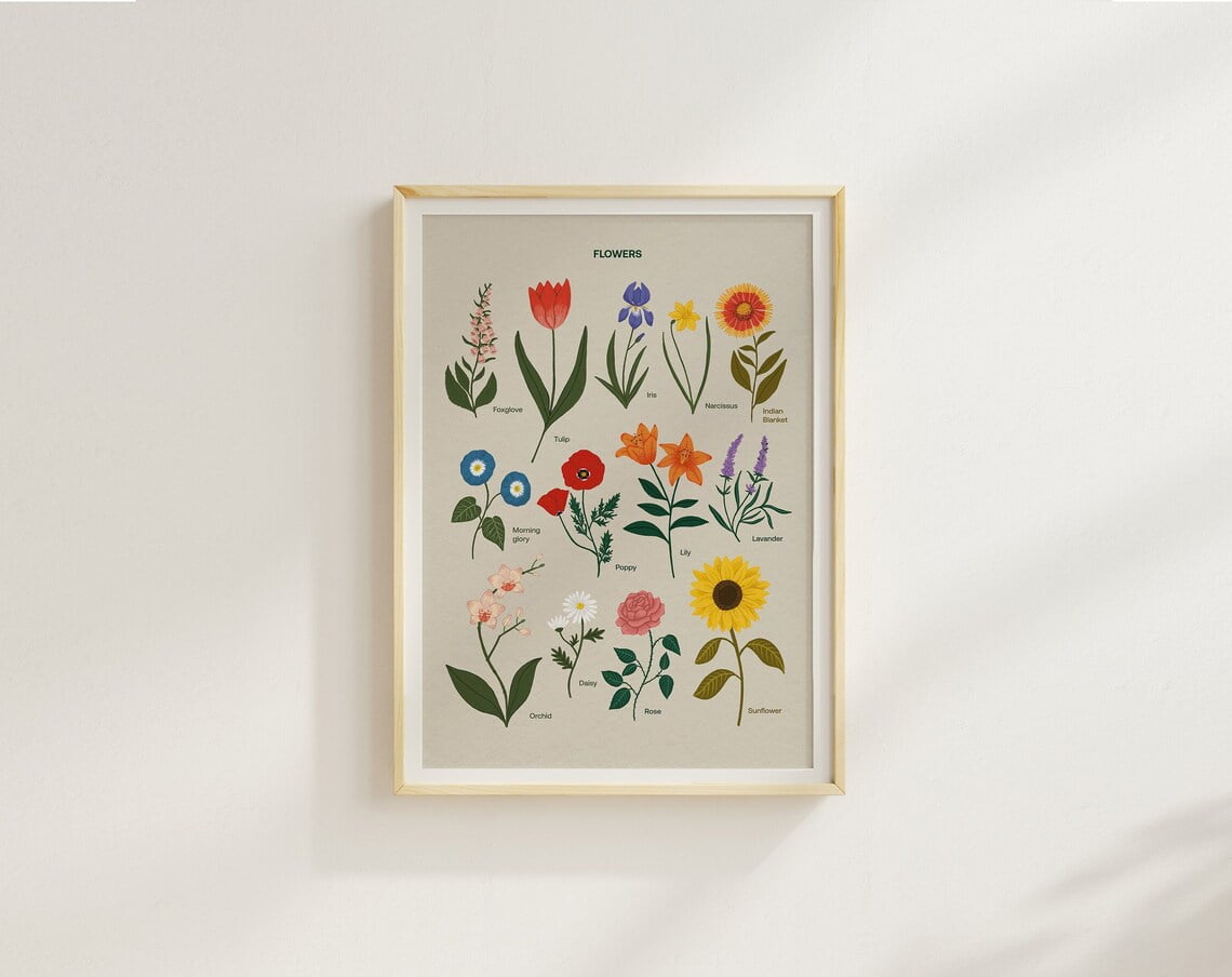 Hand-Illustrated Educational Flowers Poster - Vibrant Botanical Art For ...