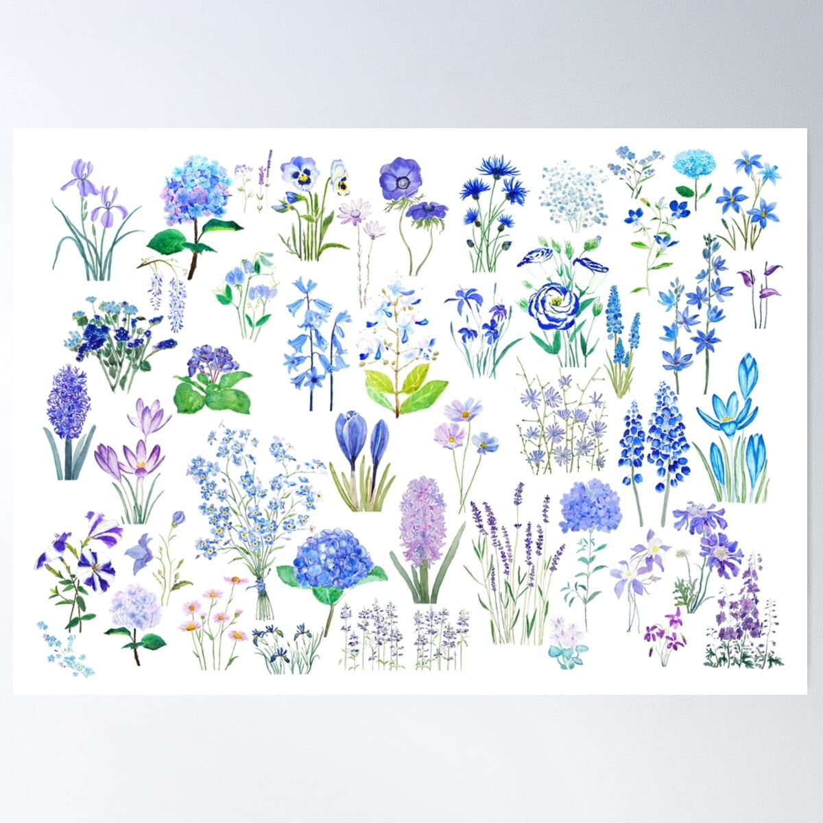 Hand Painted Blue And Purple Flower Collection 2020 Watercolor Poster ...