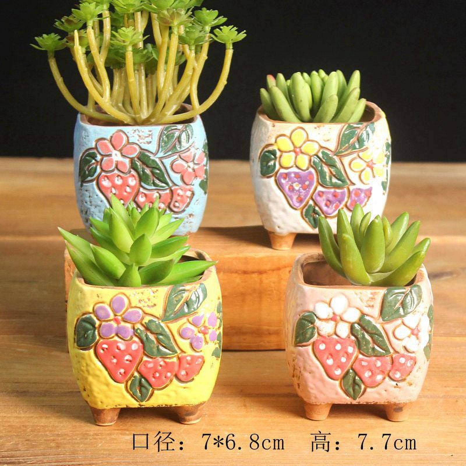 Hand-Painted Ceramic Succulent Planter - Thumb Pot Desktop Plant Pot ...