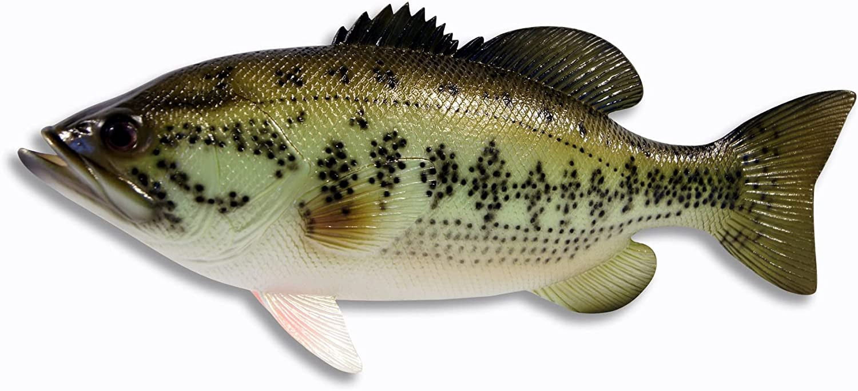 Hand Painted Large Mouth Bass Fish Standing Sculpture Statue Figurine ...