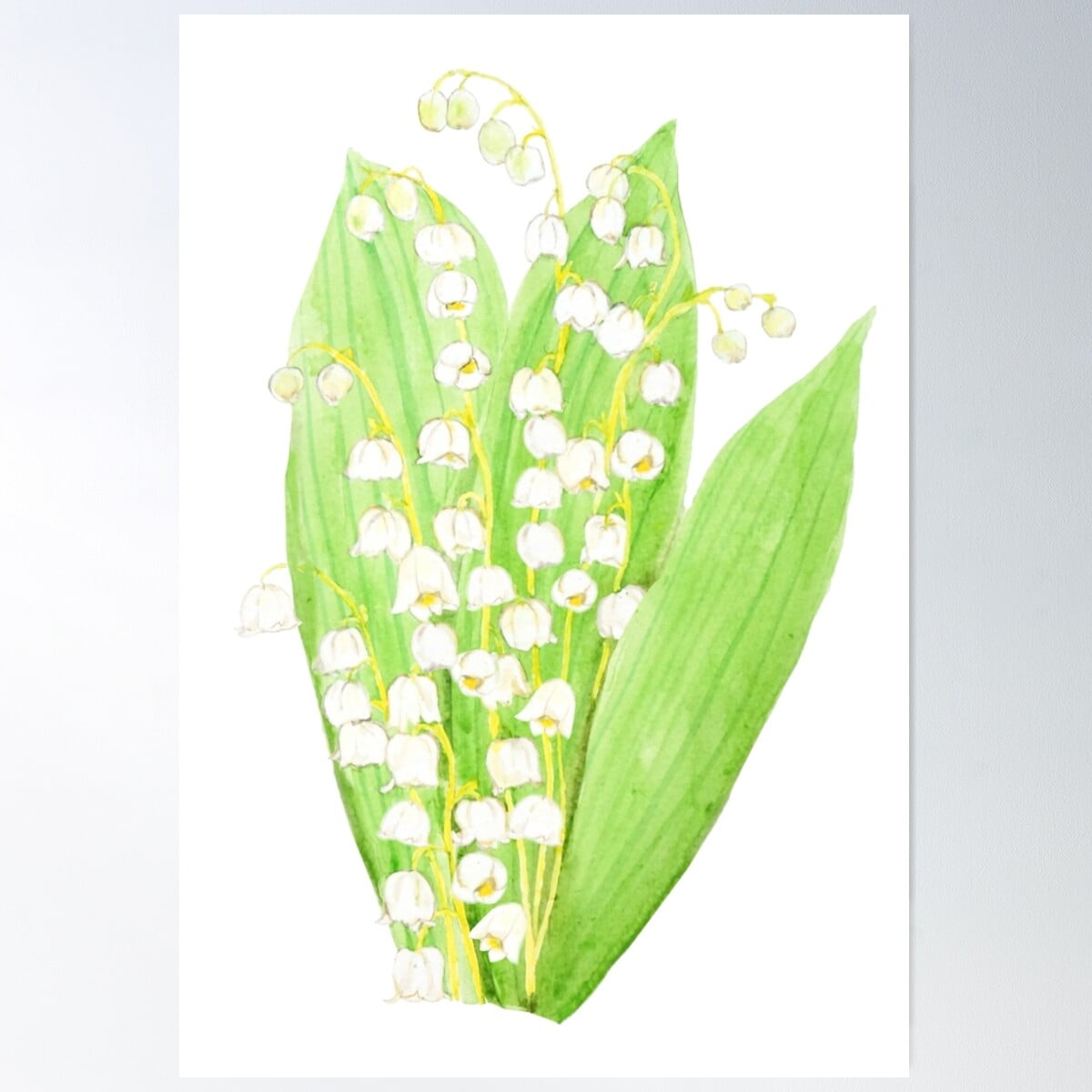 Hand Painted Lily Of The Valley 2020 Poster Wall Art, Modern Wall Decor ...