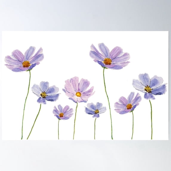 Hand Painted Purple Cosmos Flowers Watercolor Style Poster Wall Art ...
