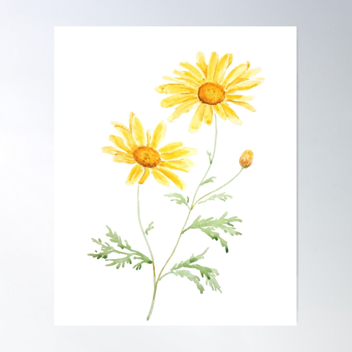 Hand Painted Yellow Margaret Daisy Watercolor Poster Wall Art, Modern ...