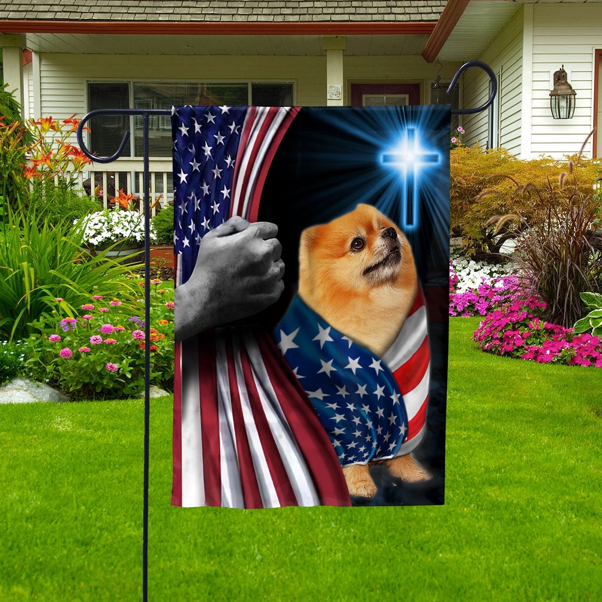 Hand Pulling USA Flag Pomeranian Dog Wearing Flag American Standing ...