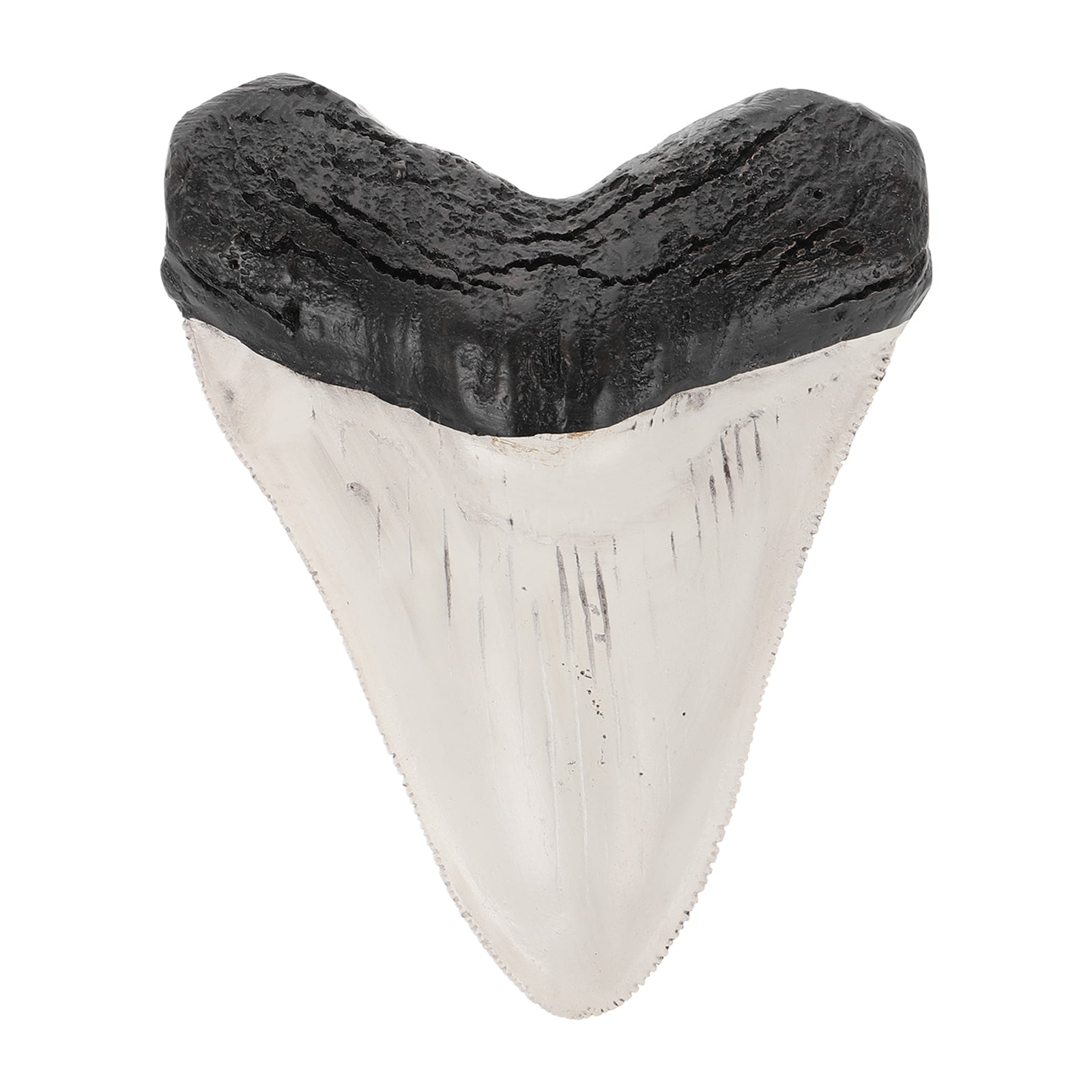 Handcraft Decoration Animal Characters Shark Teeth Ornaments - Walmart.com