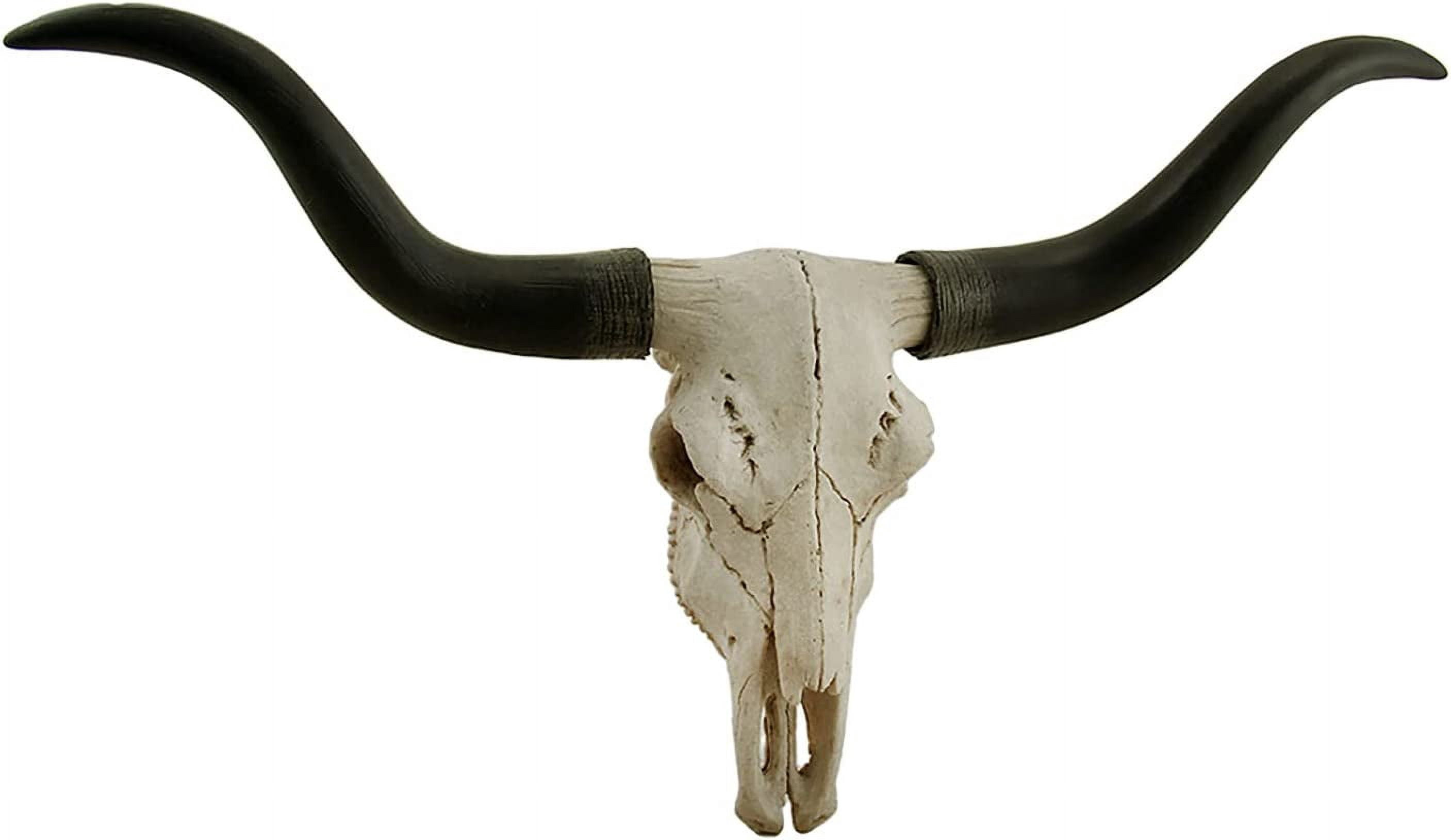 Handcrafted 20-Inch Black & Bone Longhorn Trophy Skull Wall Sculpture ...