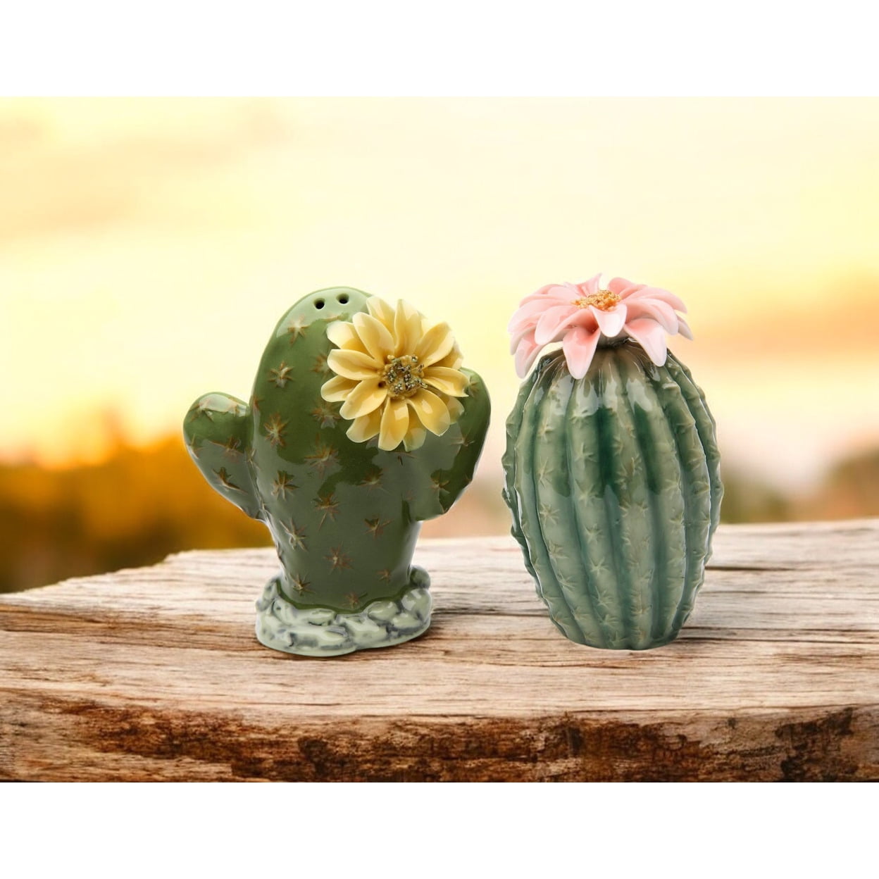 Handcrafted Ceramic Cactus Salt and Pepper Shakers with Flowers Gift ...