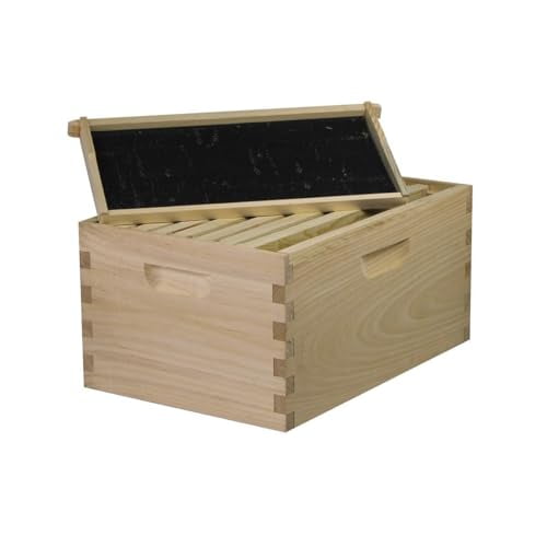 Handcrafted Langstroth Beehive Box – 8 Frame Deep/Brood Box with Frames ...