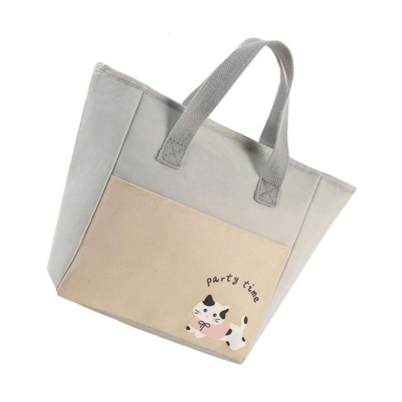 Handheld Lunch Box Leakproof Lunch Case Insulated Lunch Bag Cartoon ...