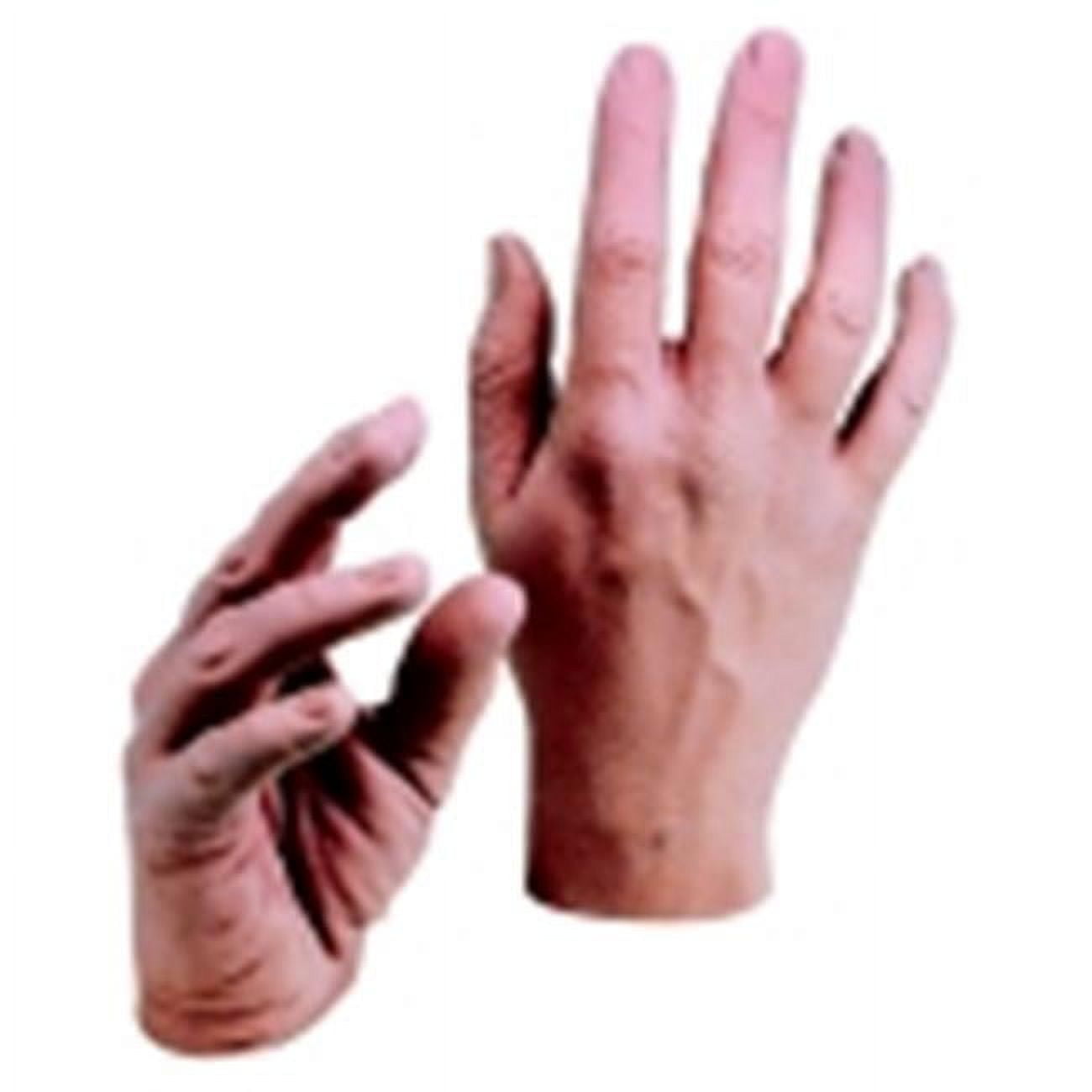 Handikin Authentically Detailed Life Sized Human Relaxed Hand - Walmart.com