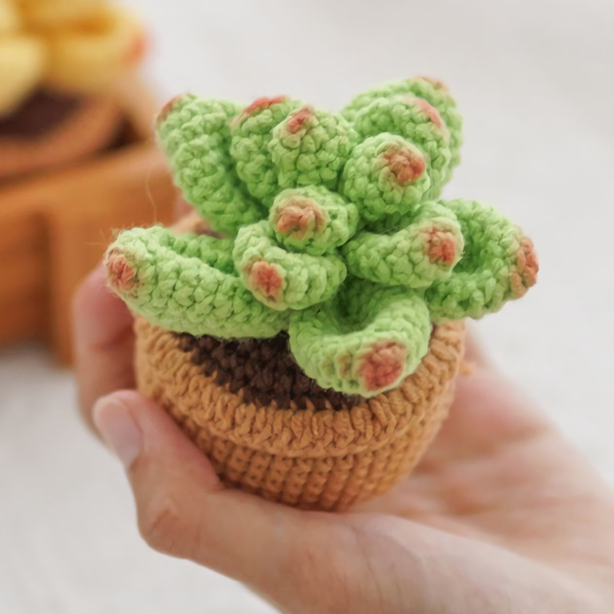 Handknitted Crochet Mini Succulent Plant for Home Decor - Walmart.com