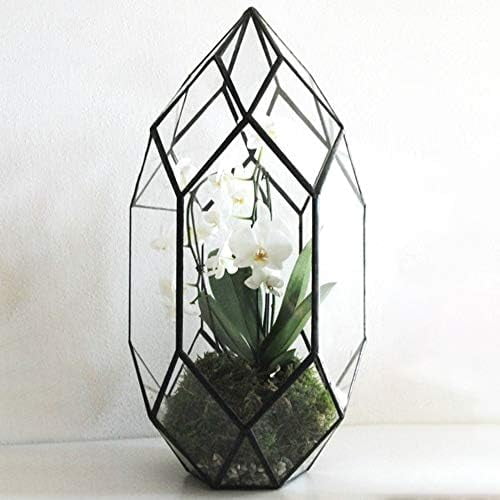 Handmade 10" Large Glass Terrarium Irregular Geometric Planter Indoor ...