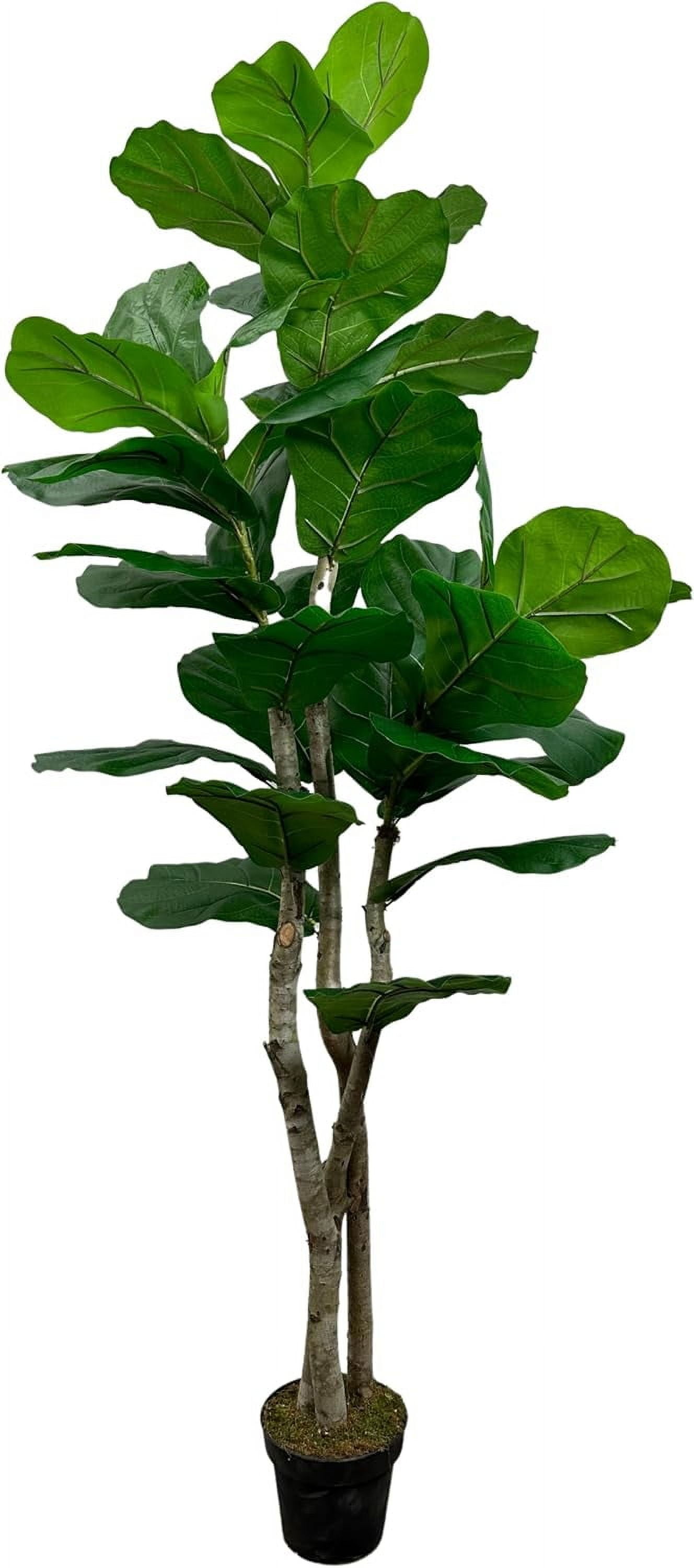 Handmade 6' Artificial Large Leaf Fig Tree - Artificial Tree Home and ...