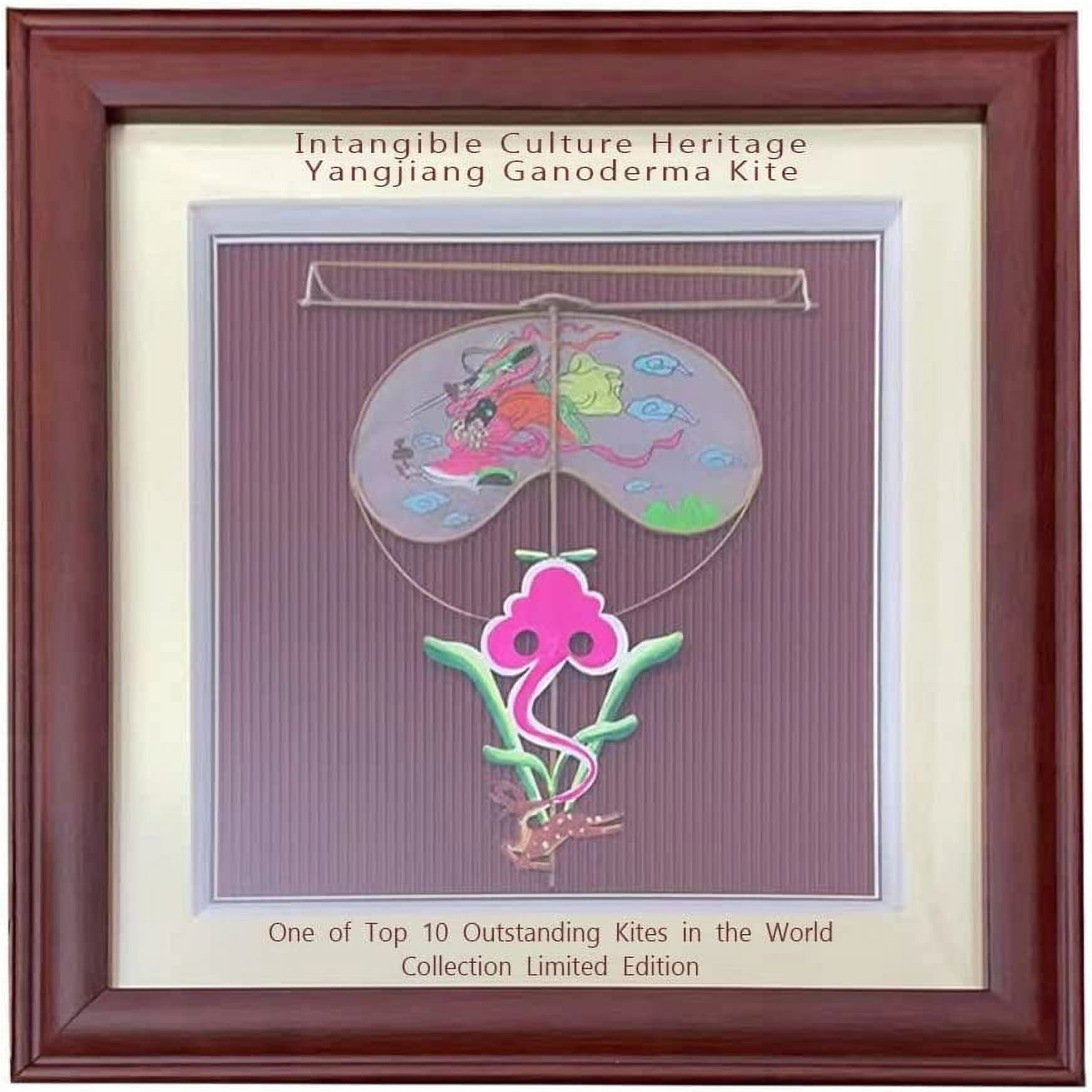 Handmade Artwork Ganoderma Fairy Maiden Bamboo Kite,Decorative Painting ...