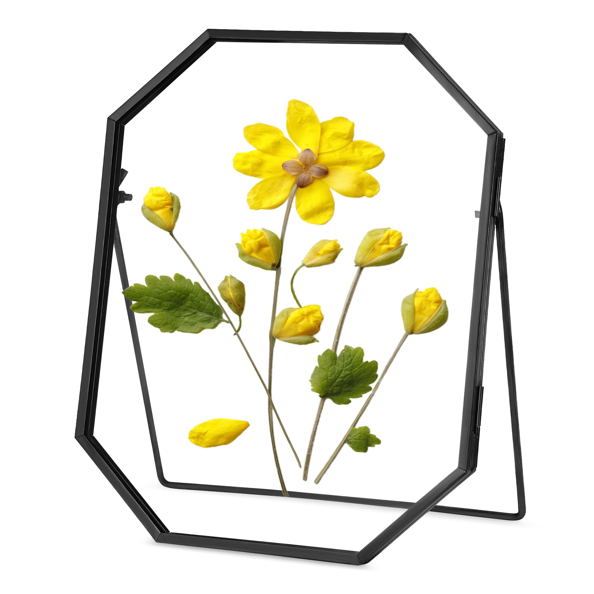 Handmade Brass Pressed Flower Frame, Octagon Double Glass Floating ...