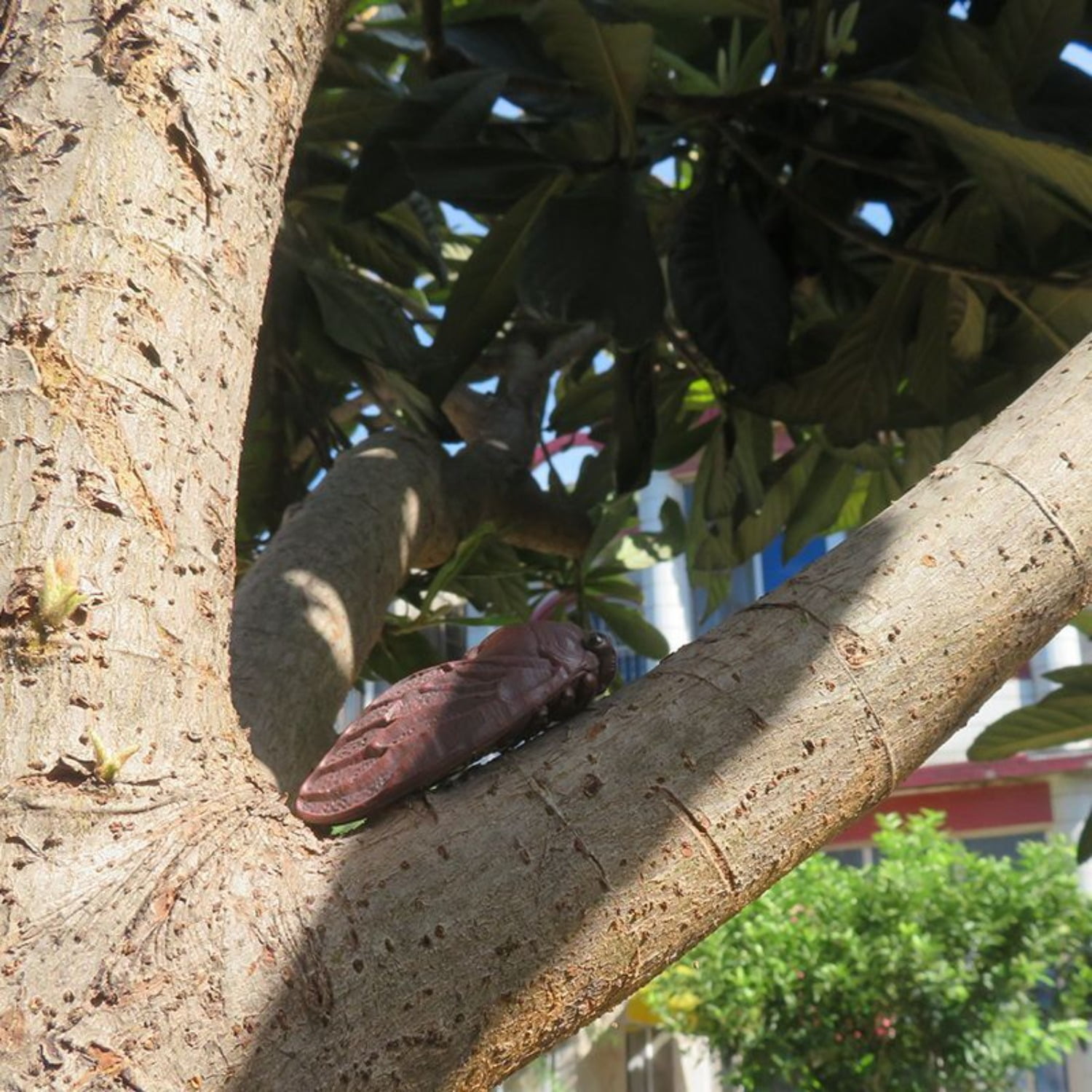 Handmade Cicada Tea Pet Sculpture Tea Set Decor Tea Table Ornament ...