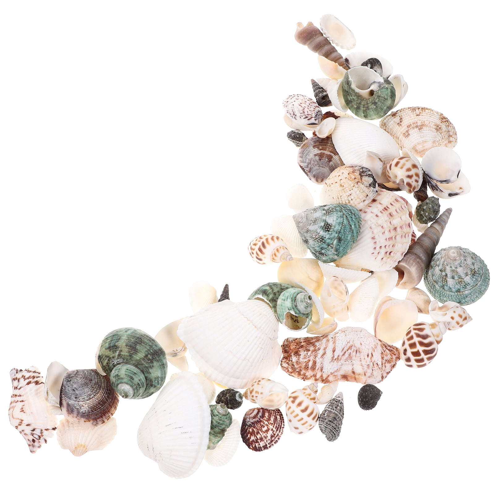 Handmade Conch Shell Ornaments Craft for Fish Tank Birthday Favors ...