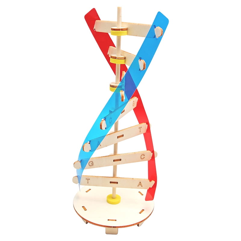 Handmade DIY technological projects and small toys, DNA models ...