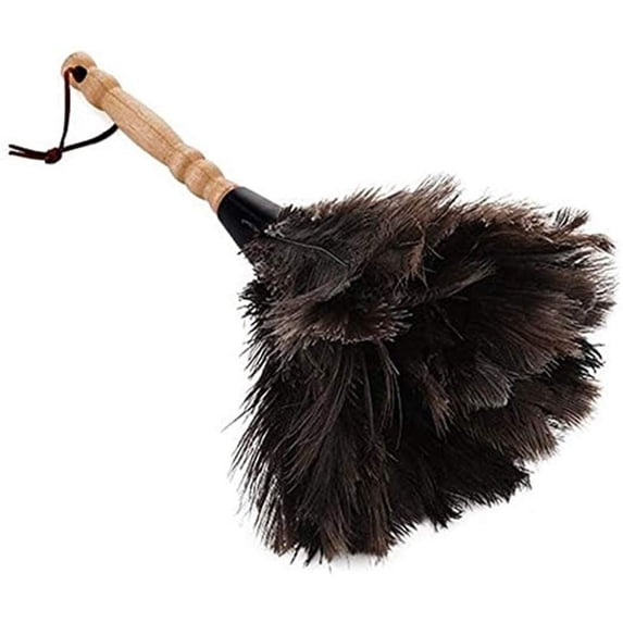 Handmade, Washable, Anti-Static Ostrich Feather Duster with Long Wooden ...