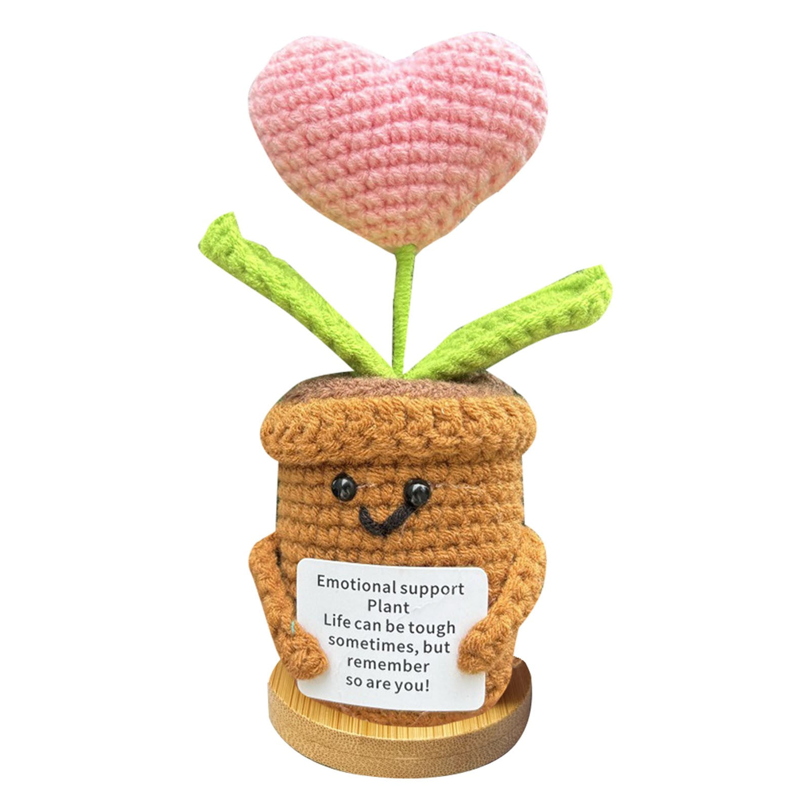 Handmade Emotional Support Plant Gifts Handwoven Positivity Plant Pot ...