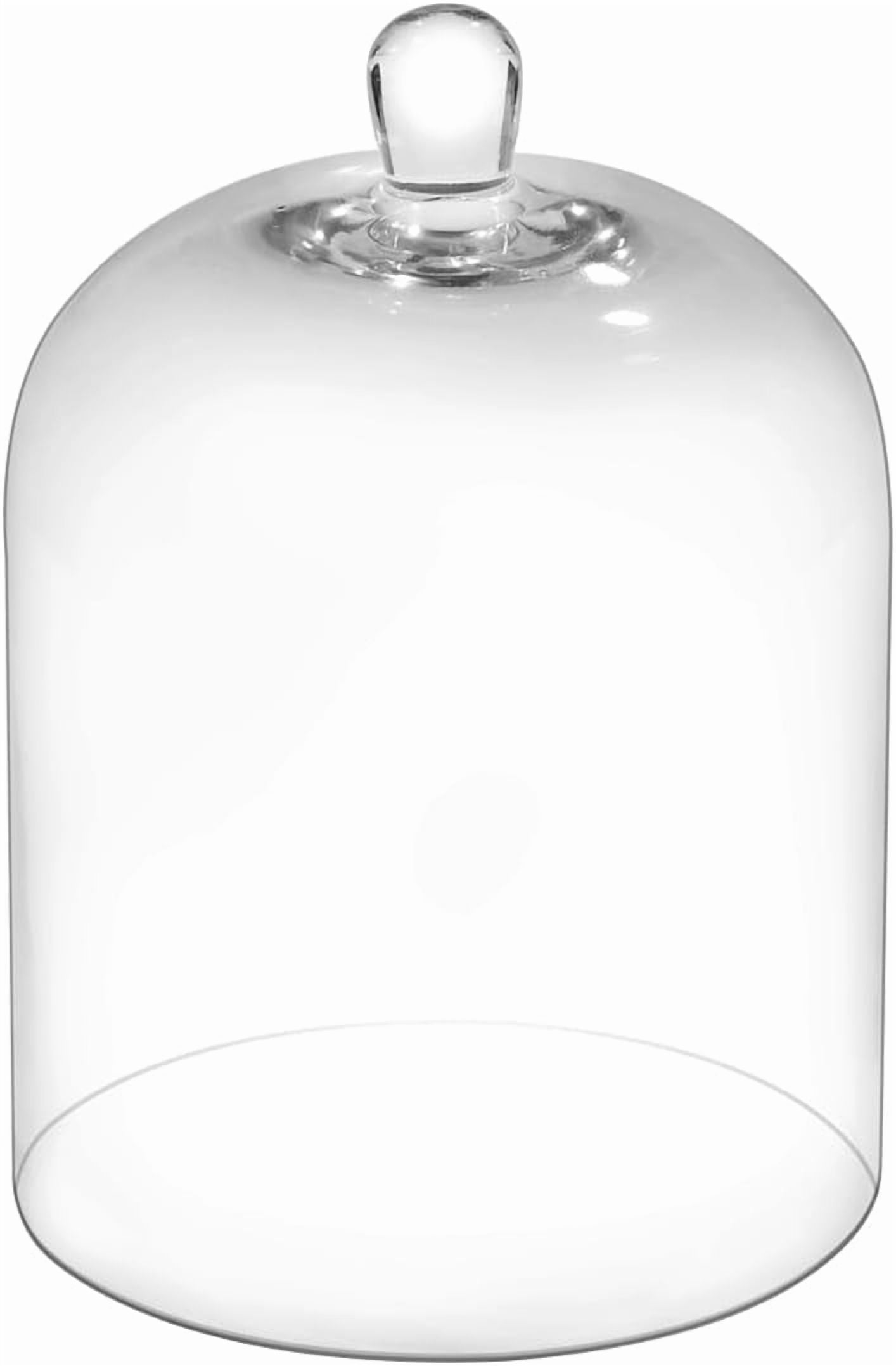 Handmade Glass Cloche Thick & Sturdy Dia 6"xH 12" For Terrarium Plants ...