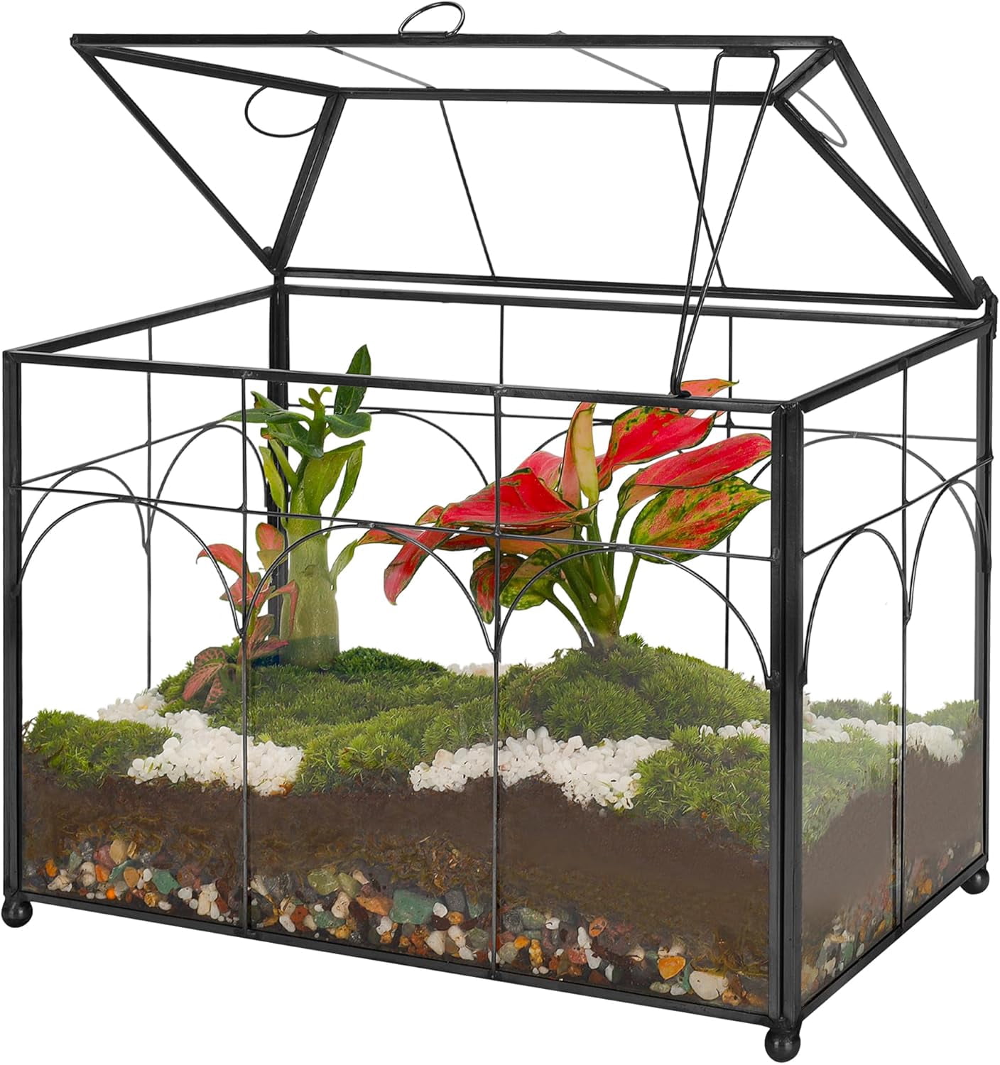 Handmade Glass Planter Terrarium with Lid, Indoor Tabletop Centerpiece ...