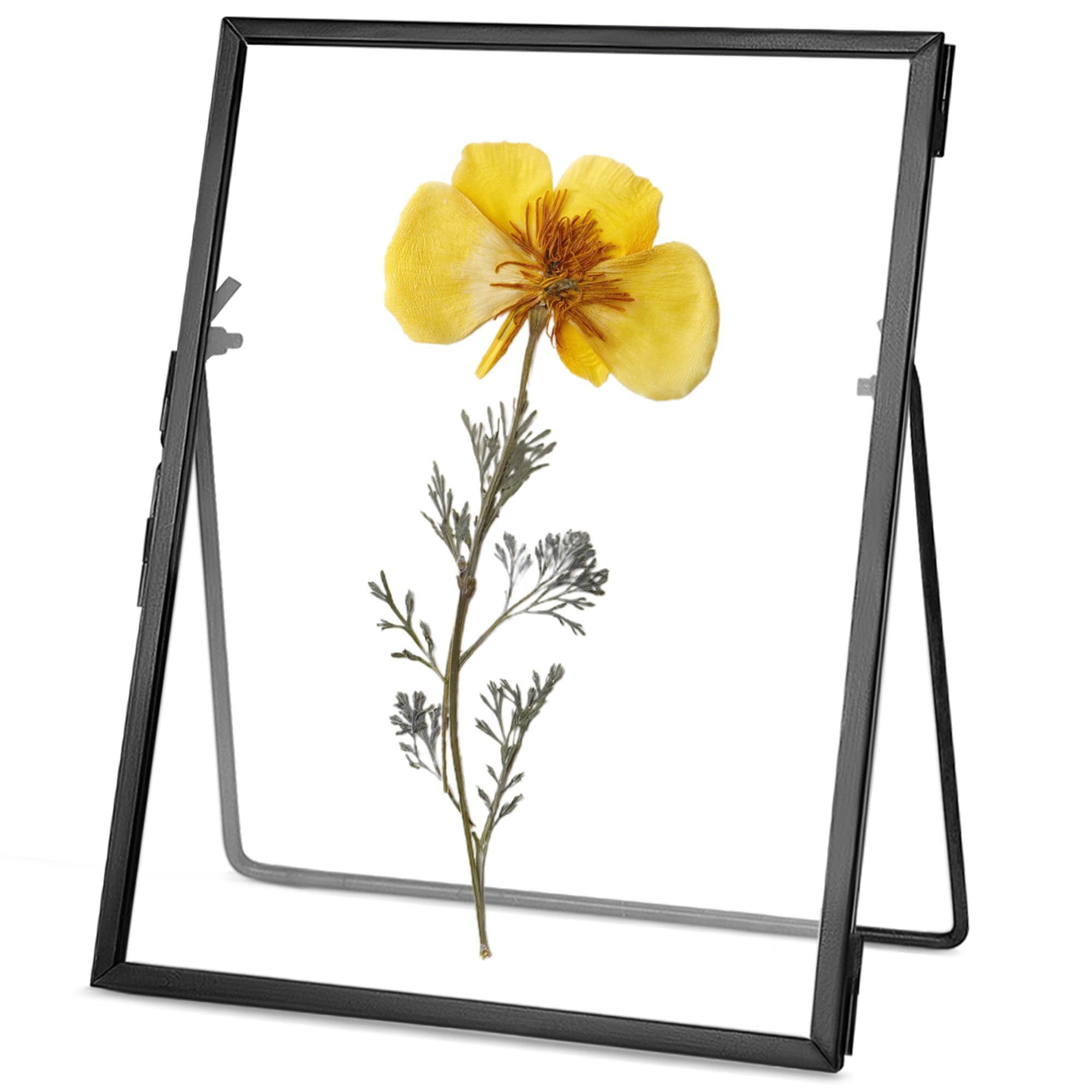 Handmade Glass Pressed Flower Frame, Floating Brass Photo Frame for ...