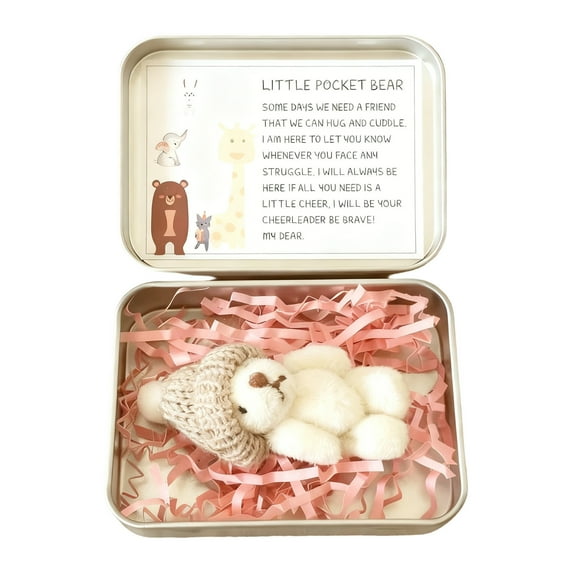 Handmade Mini Plush Teddy Bear in Box, Little Bear in A Box, My Little ...