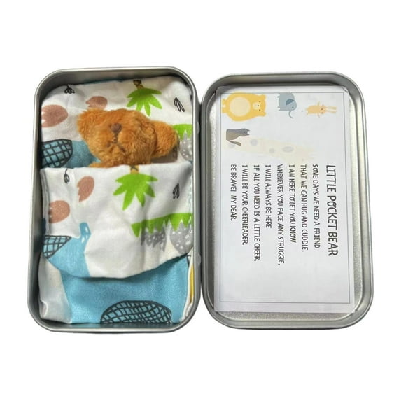 Handmade Mini Plush Teddy Bear in Box, Little Bear in A Box, My Little ...