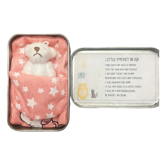 Handmade Mini Plush Teddy Bear in Box, Little Bear in A Box, My Little ...