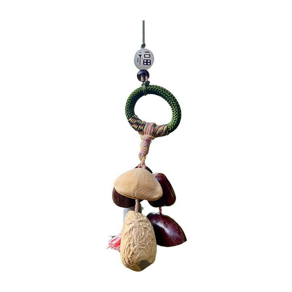 Handmade Natural Nut Shell Wind Chimes, Soothing Indoor Outdoor Bell ...