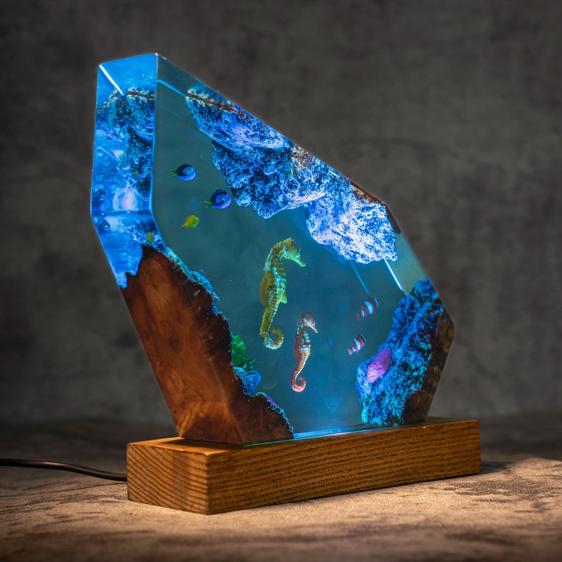 Handmade Seahorse Ocean Resin Night Light, 3D Marine Life Wood Art Lamp ...