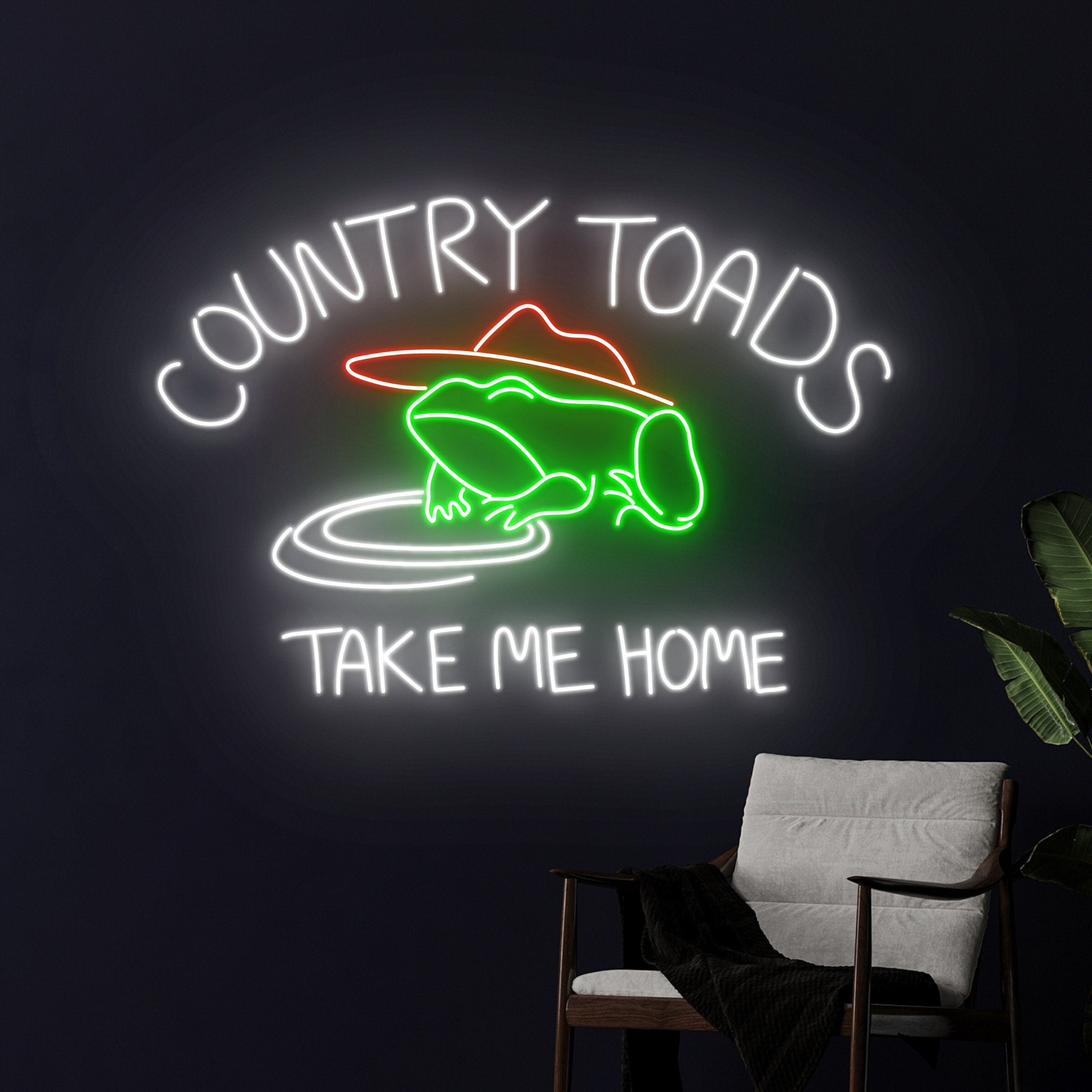 Handmadetneonsign Country Toads Take Me Home Cowboy Toad Neon Light ...