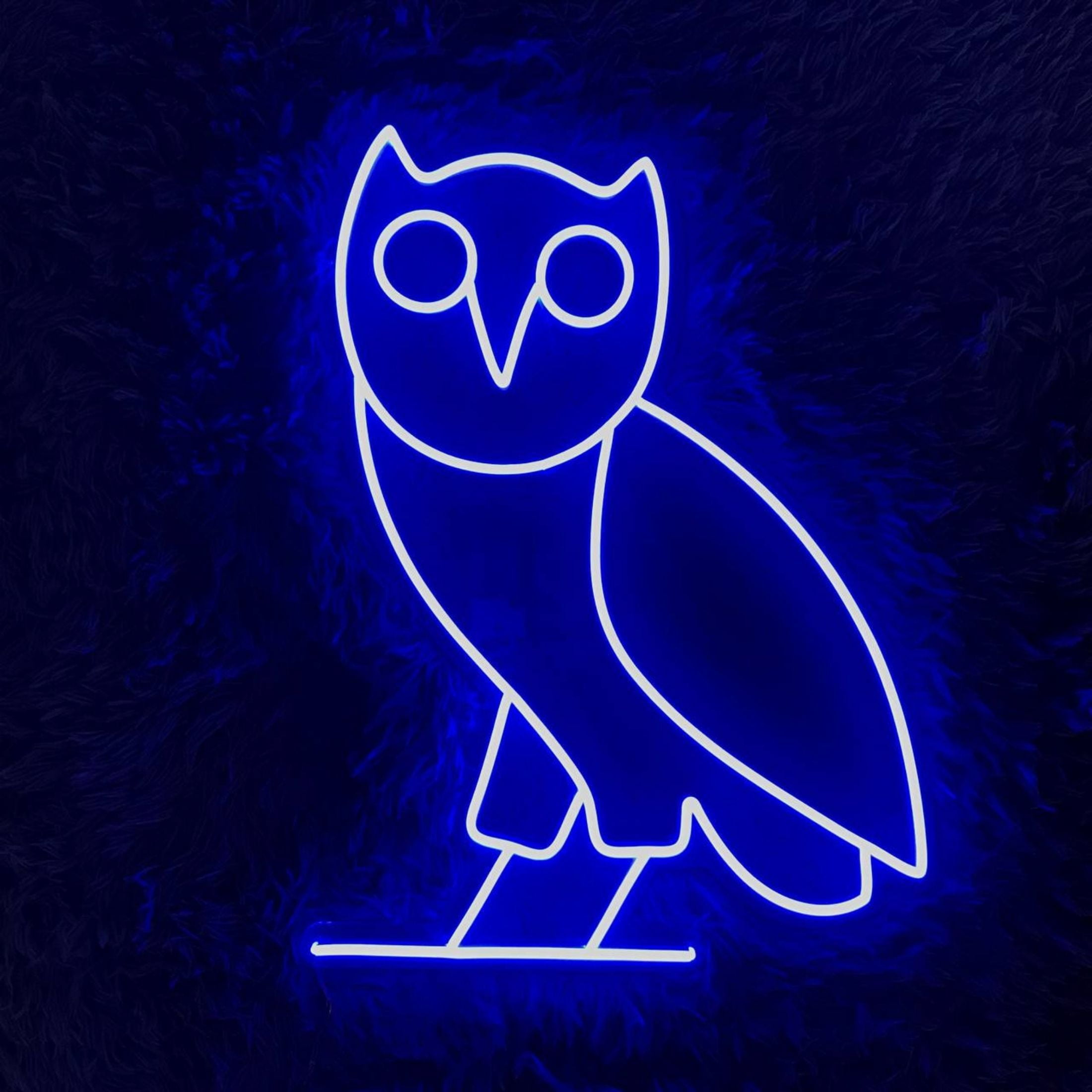 Handmadetneonsign Owl Neon Sign, Owl Bird Wall Art Decor, Bird Animal ...