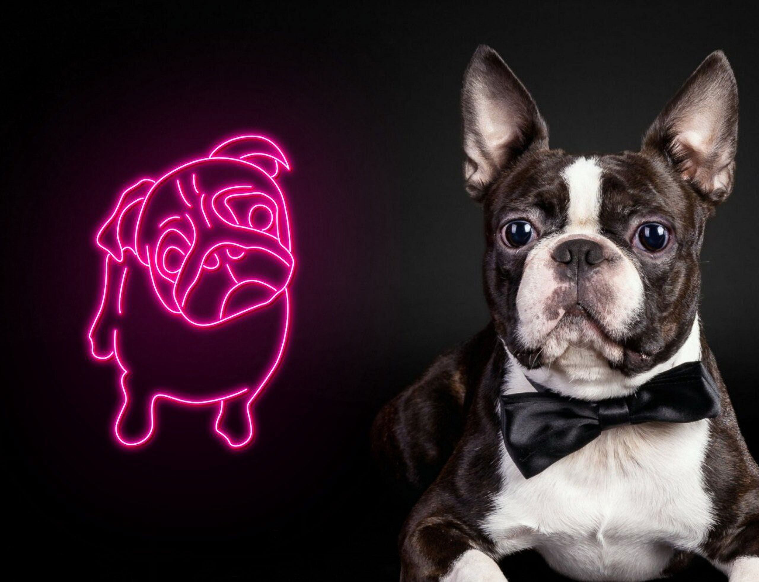 Handmadetneonsign Pug Neon Sign,Animal Neon Sign,Led Neon Sign,Cute ...