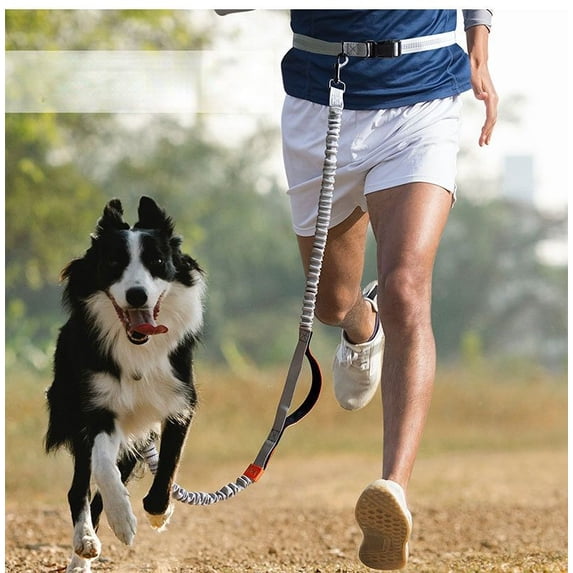 Hands Free Dog Leash for Medium and Large Dogs - Durable Dual Handle ...