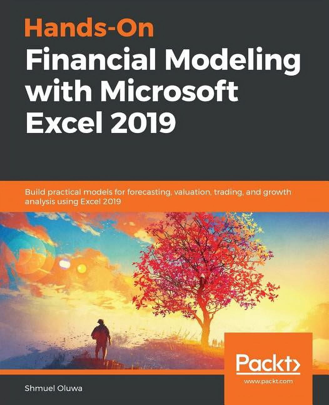 Hands-On Financial Modeling with Microsoft Excel 2019 (Paperback) - Walmart.com