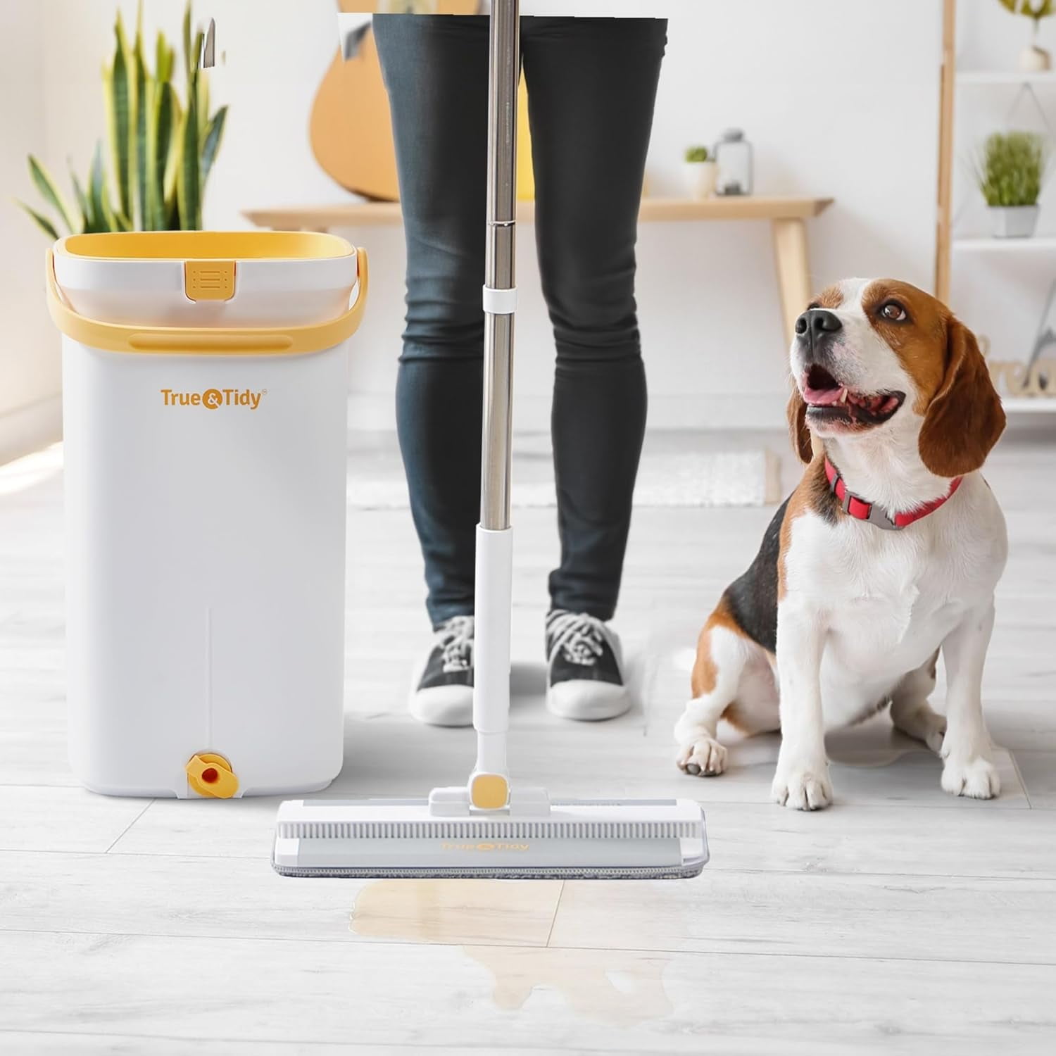 Hands- -Wringing Mop System with Separate Clean & Dirty Water ...