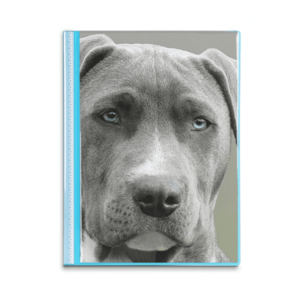 Handsome Dog Pet Animal Picture Book Sheet Protectors Portfolio Binder ...