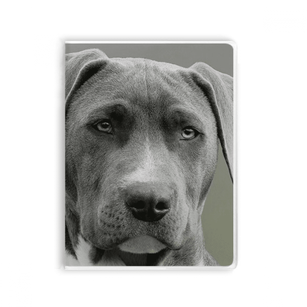 Handsome Dog Pet Animal Picture Notebook Gum Cover Diary Soft Cover ...