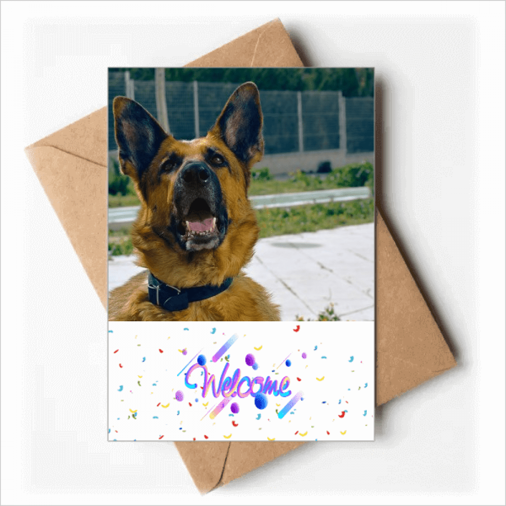 Handsome Dog Pet Photography Picture Welcome Back Greeting Cards ...