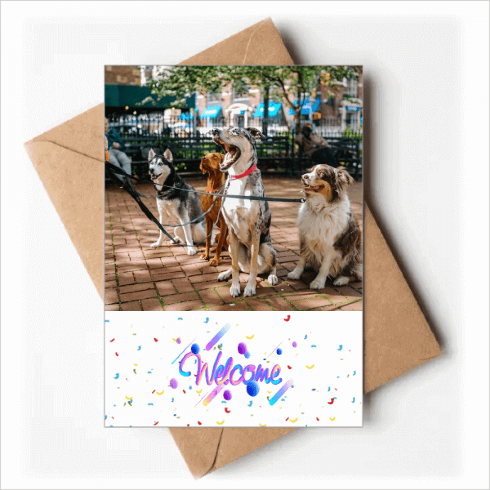 Handsome Dogs Pet Animal Picture Welcome Back Greeting Cards Envelopes ...