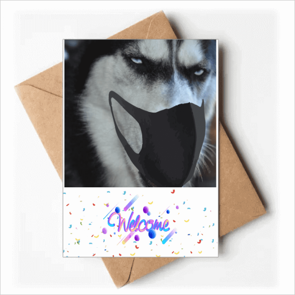 Handsome Funny Siberian Husky Dog Welcome Back Greeting Cards Envelopes ...