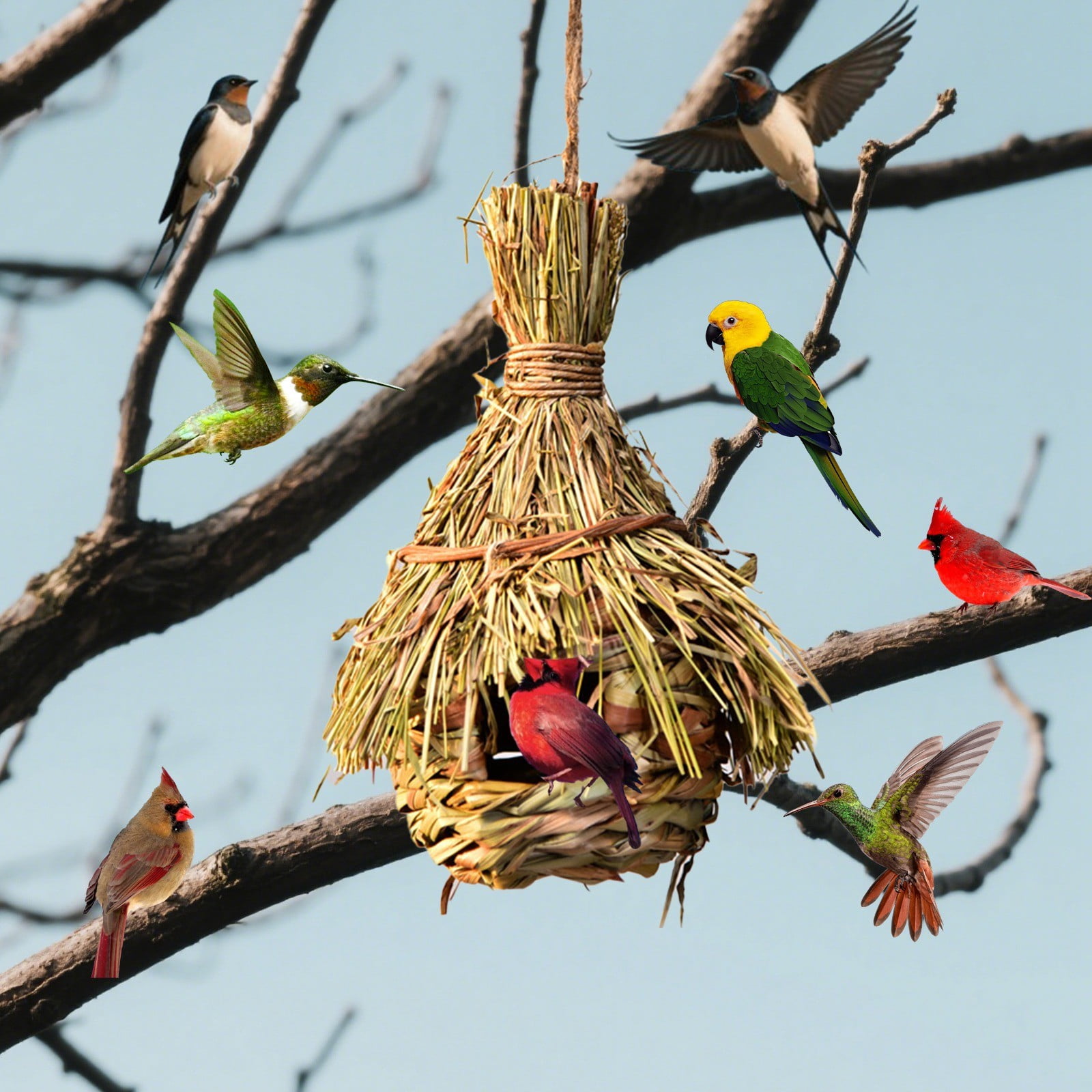 Handwoven Straw Bird Nest – Natural Gourd Decoration for Gardens & Pet ...