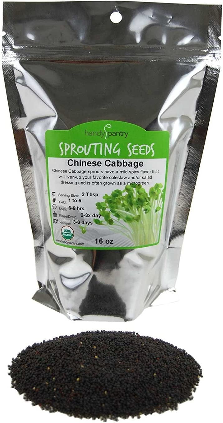 Handy Pantry Chinese Cabbage Sprouting Seed - 1 Lbs - Perfect for ...